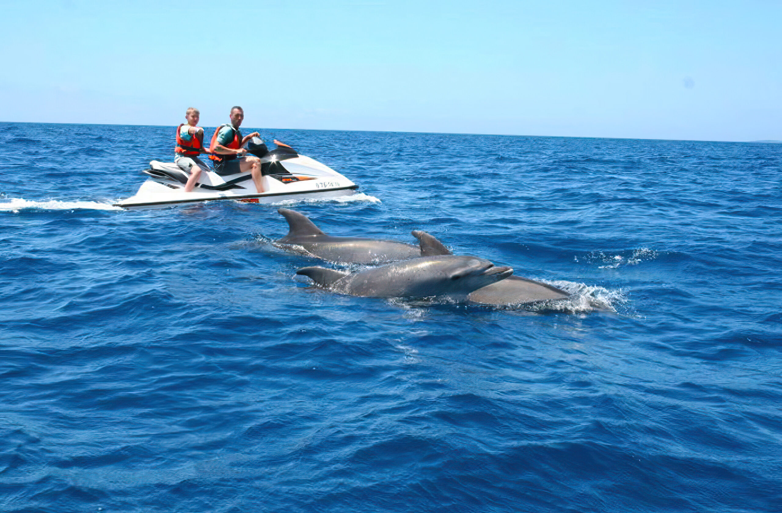 Dolphin Tours in Destin, FL – Gilligan's Water Sports